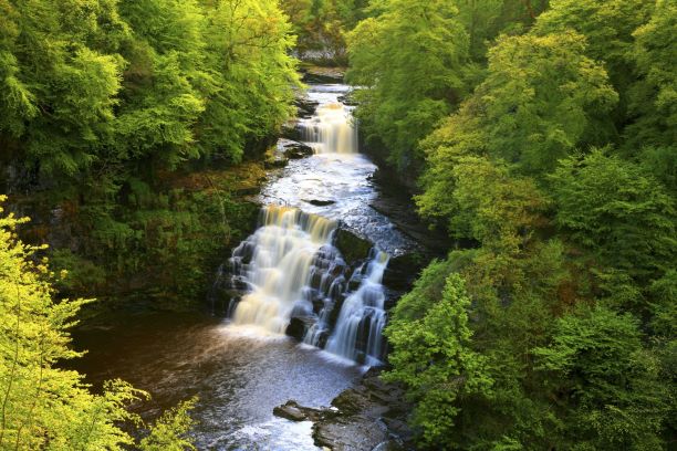 Discover Lanark
